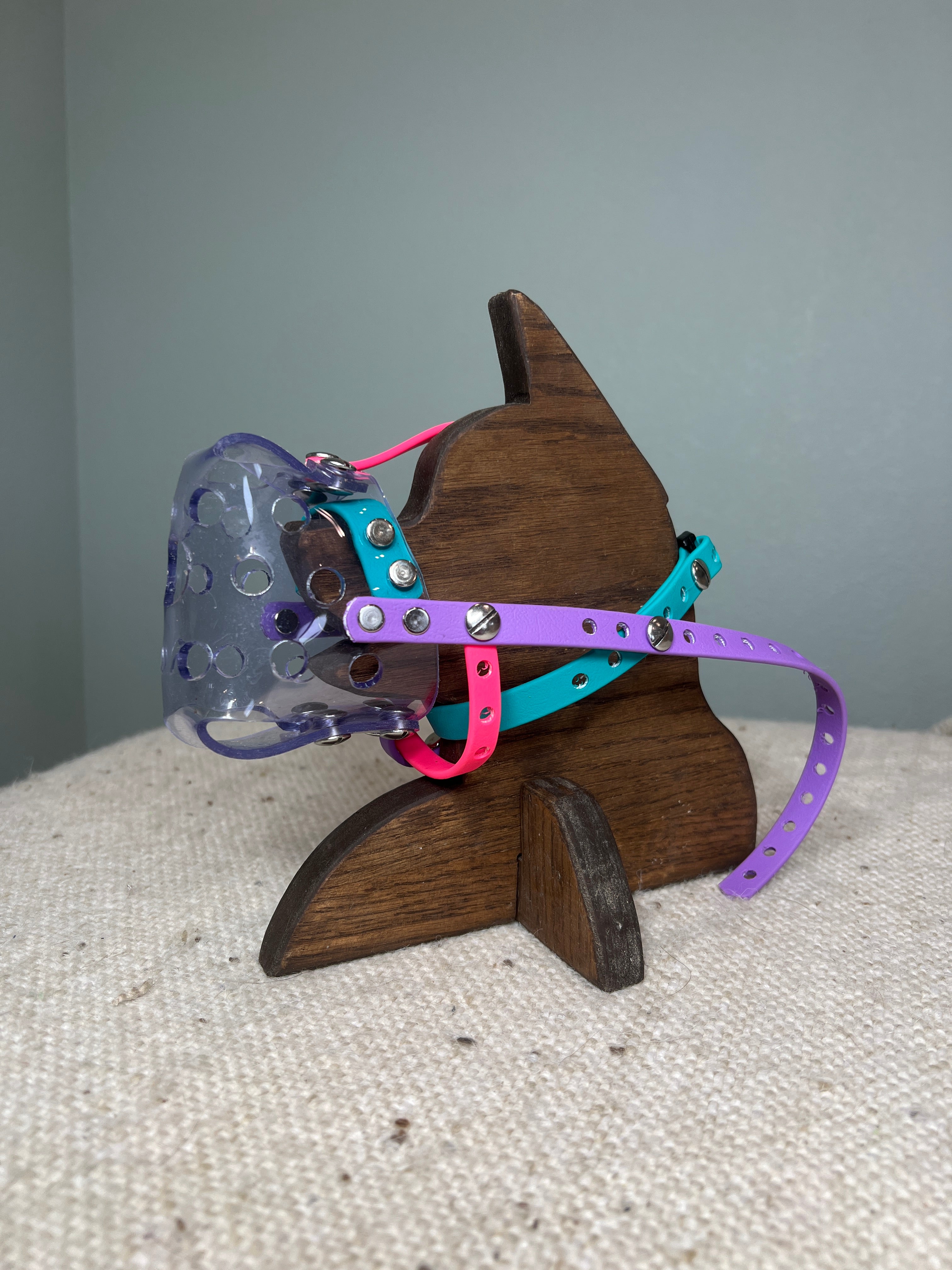 Muzzles – Trust Your Dog