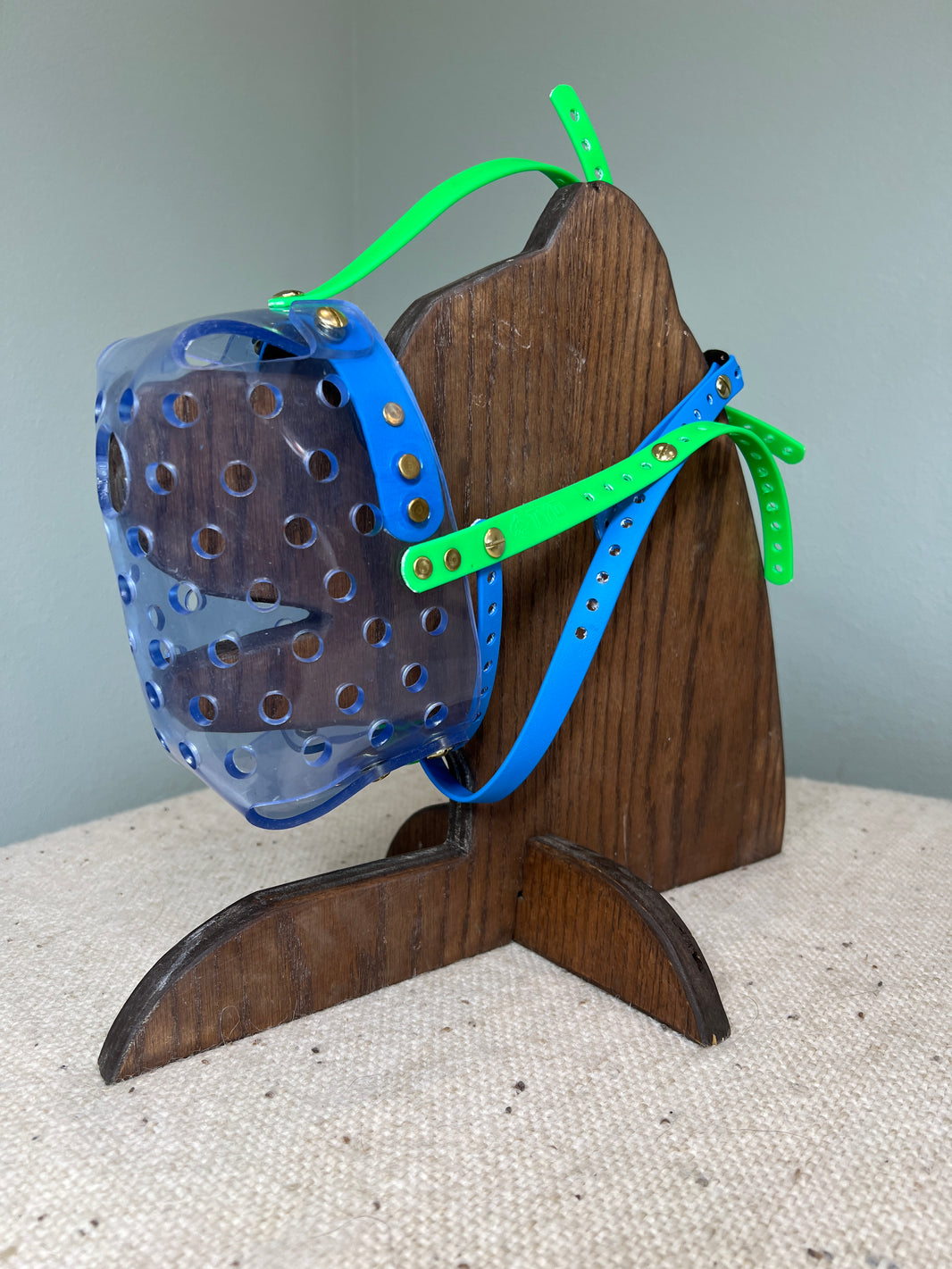Muzzles – Trust Your Dog