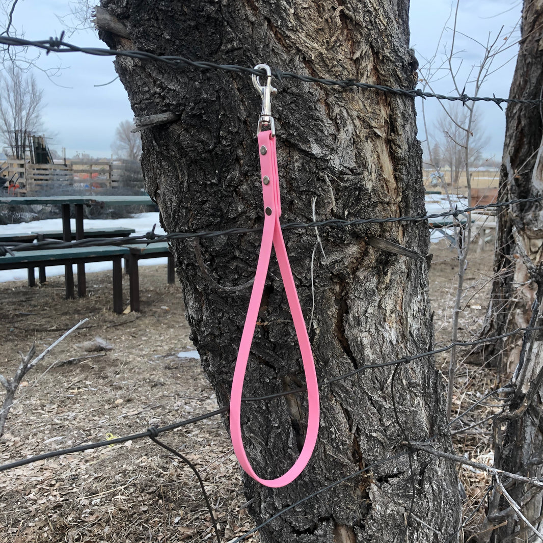 Trust Your Dog - Custom Muzzles, Long Lines, and Euro Leashes