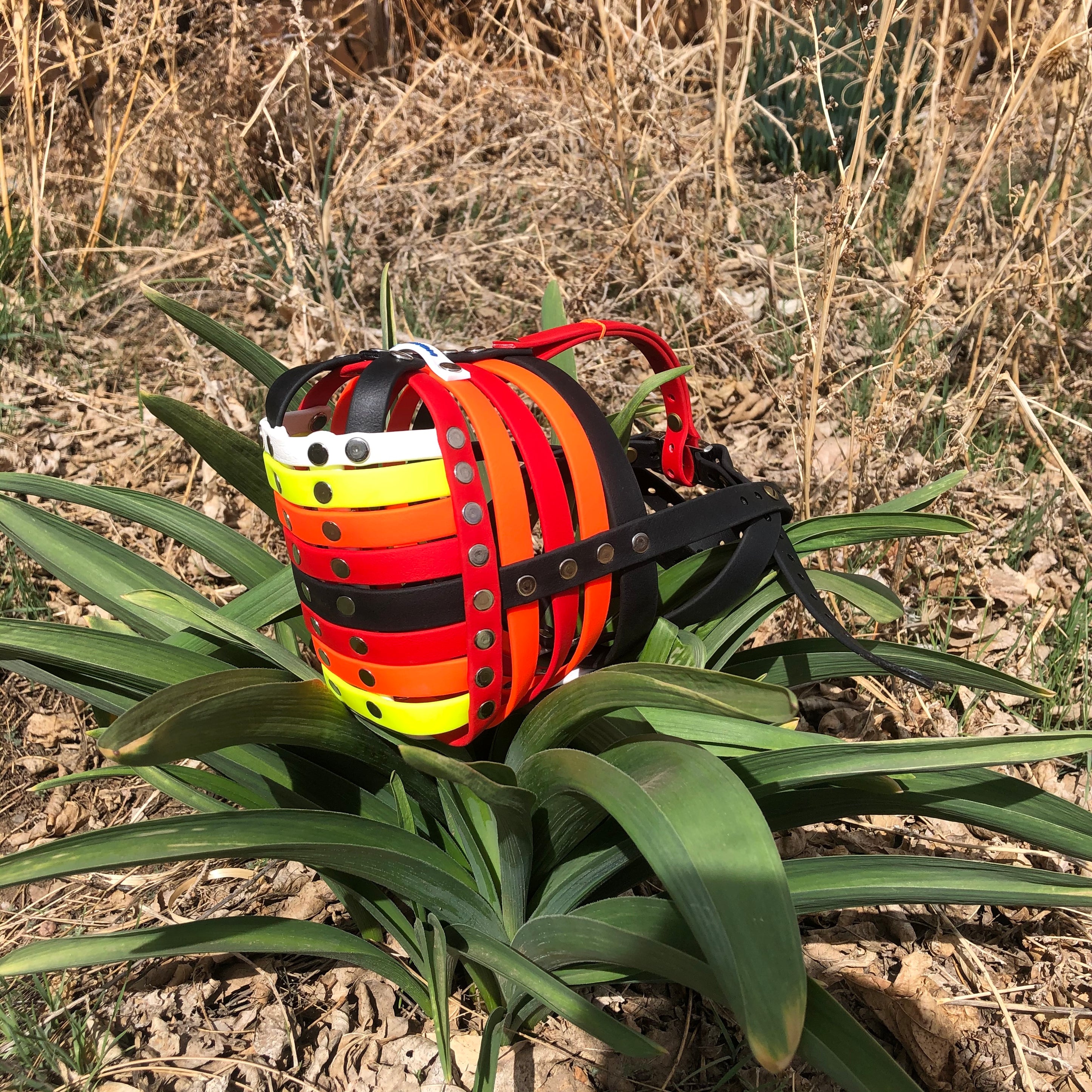Custom Biothane Muzzle – Trust Your Dog
