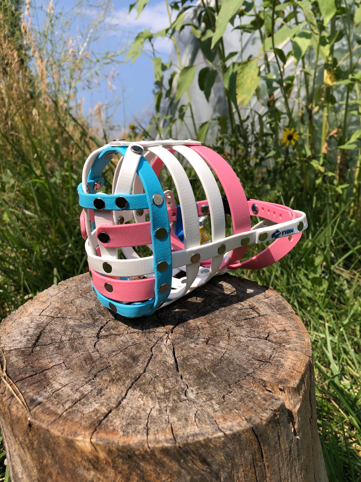 Custom Biothane Muzzle – Trust Your Dog